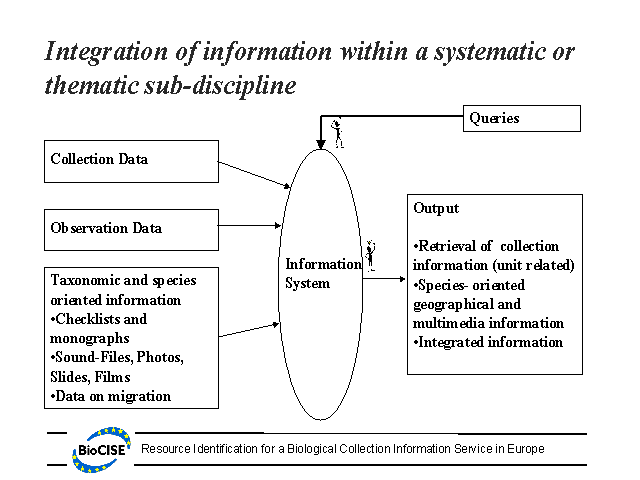 Integration of information within a systematic or thematic sub-discipline