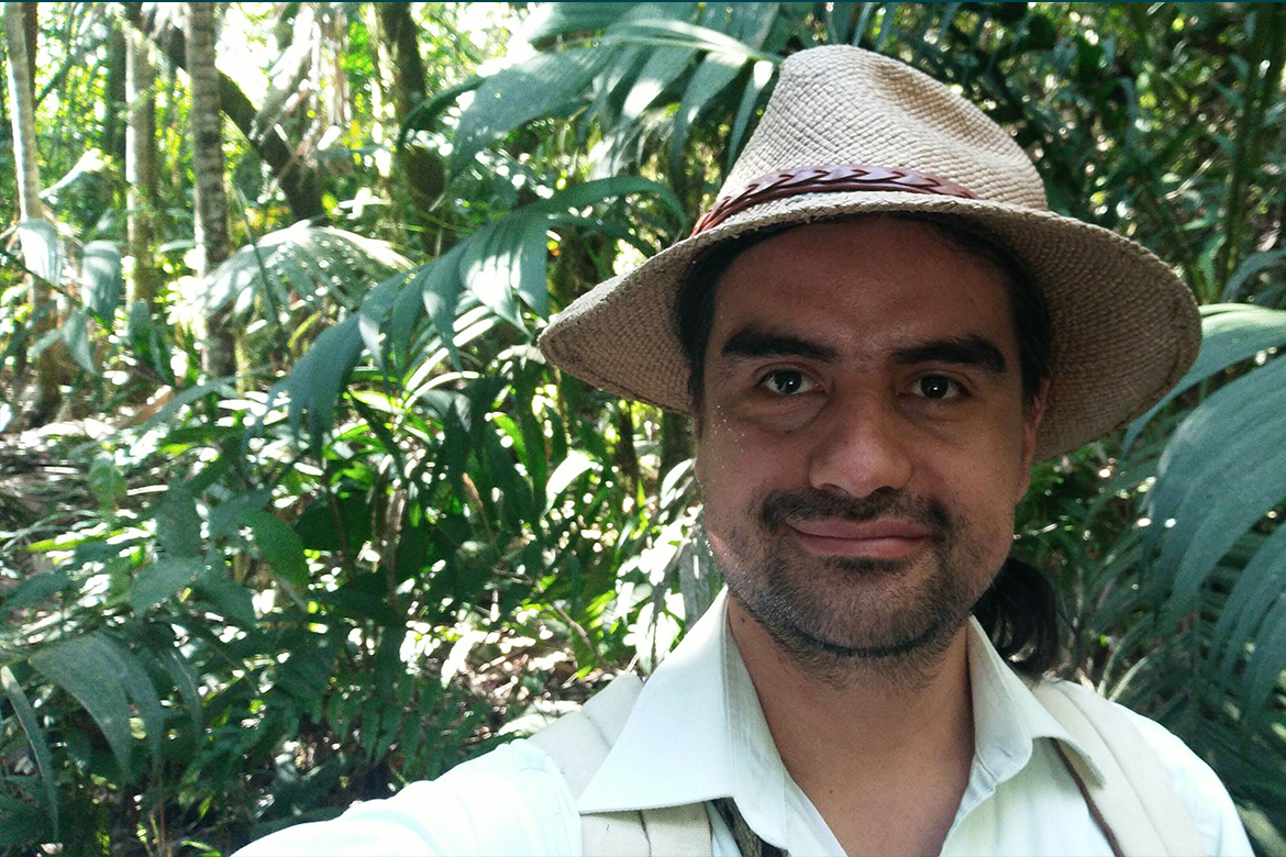 ¿Qué tienen en común los bosques de niebla de Colombia y los bosques ...