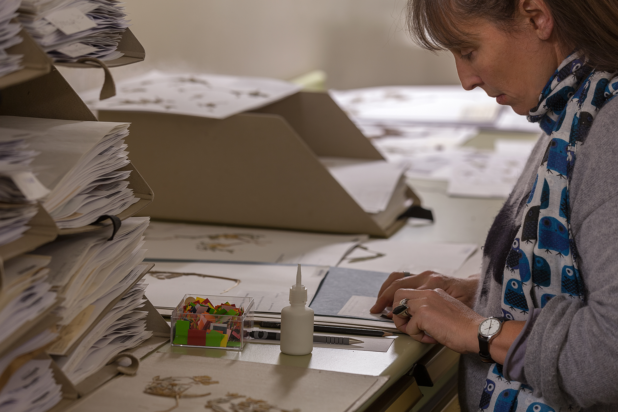 Herbarium | Botanischer Garten Berlin