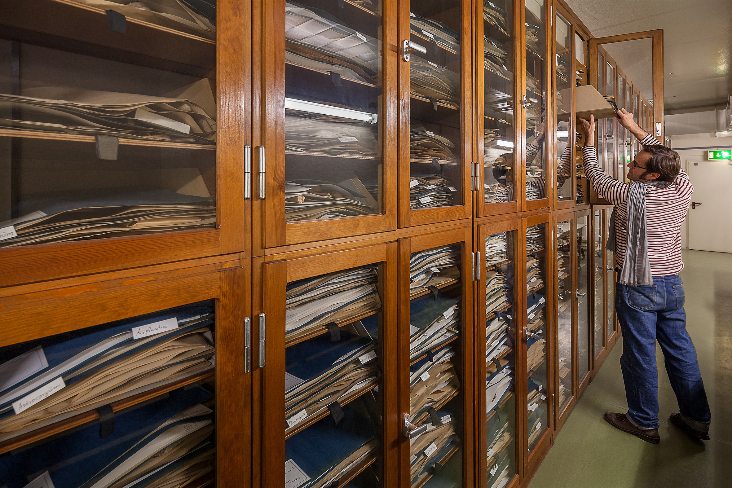 Herbarium | Botanischer Garten Berlin