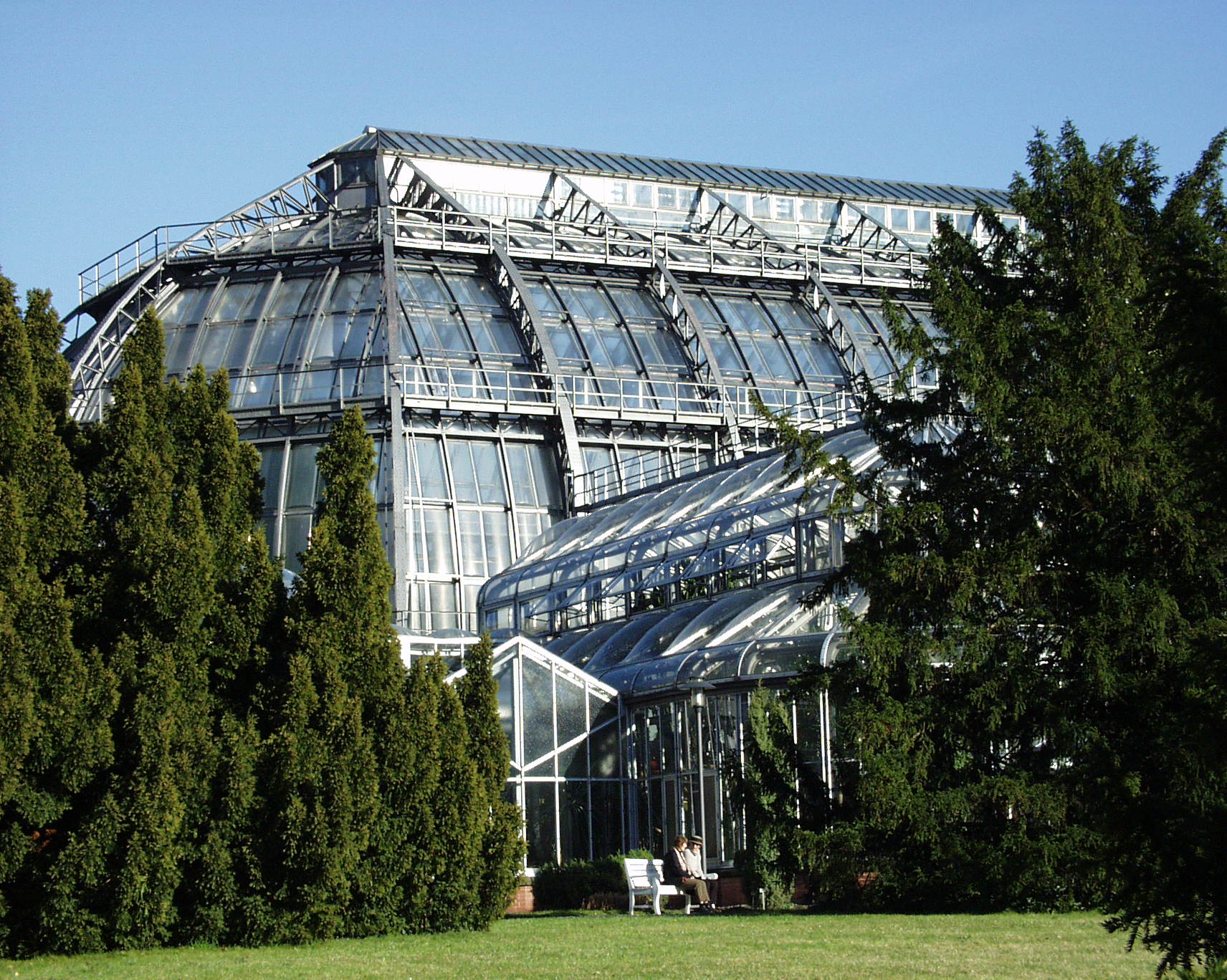 Eibe | Botanischer Garten Berlin