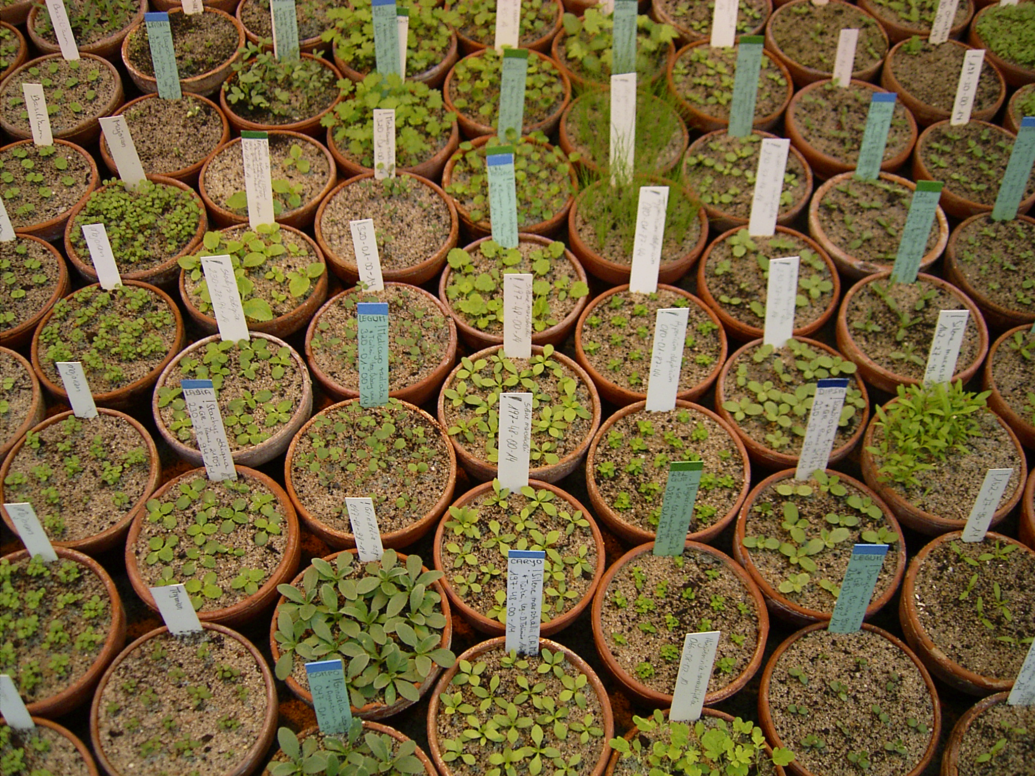 Biological Collections | Botanischer Garten Berlin